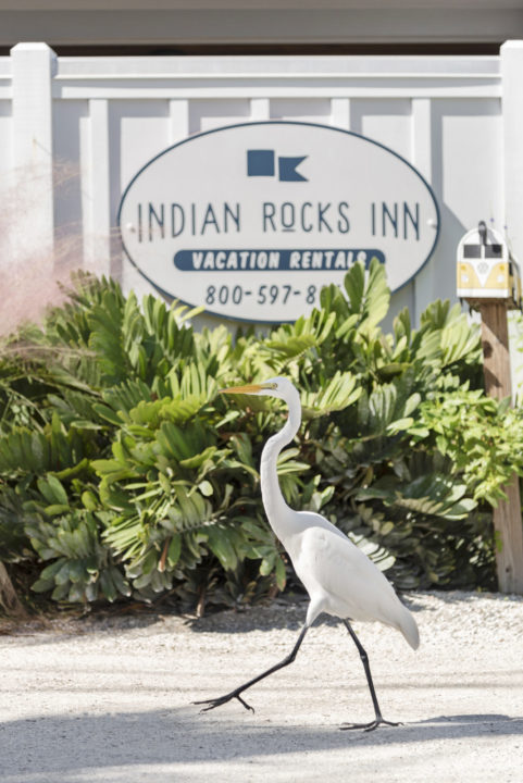 Indian Rocks Inn - Vacation Rentals in Indian Rocks Beach